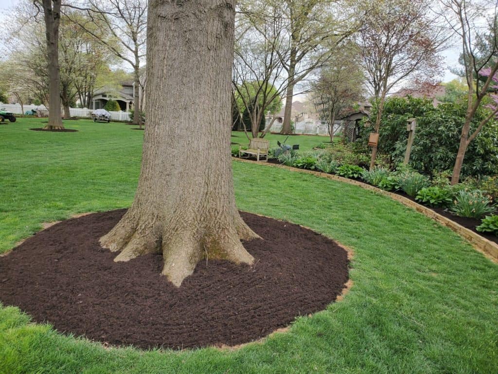 Proper Mulching for Healthy Trees from Brenemans Landscaping – Breneman ...